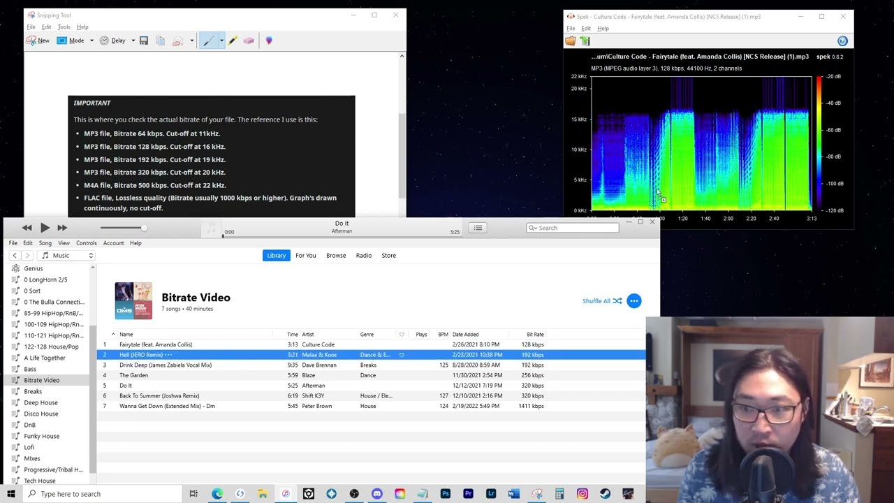 Using Spek To Check Integrity of Music Library for DJing