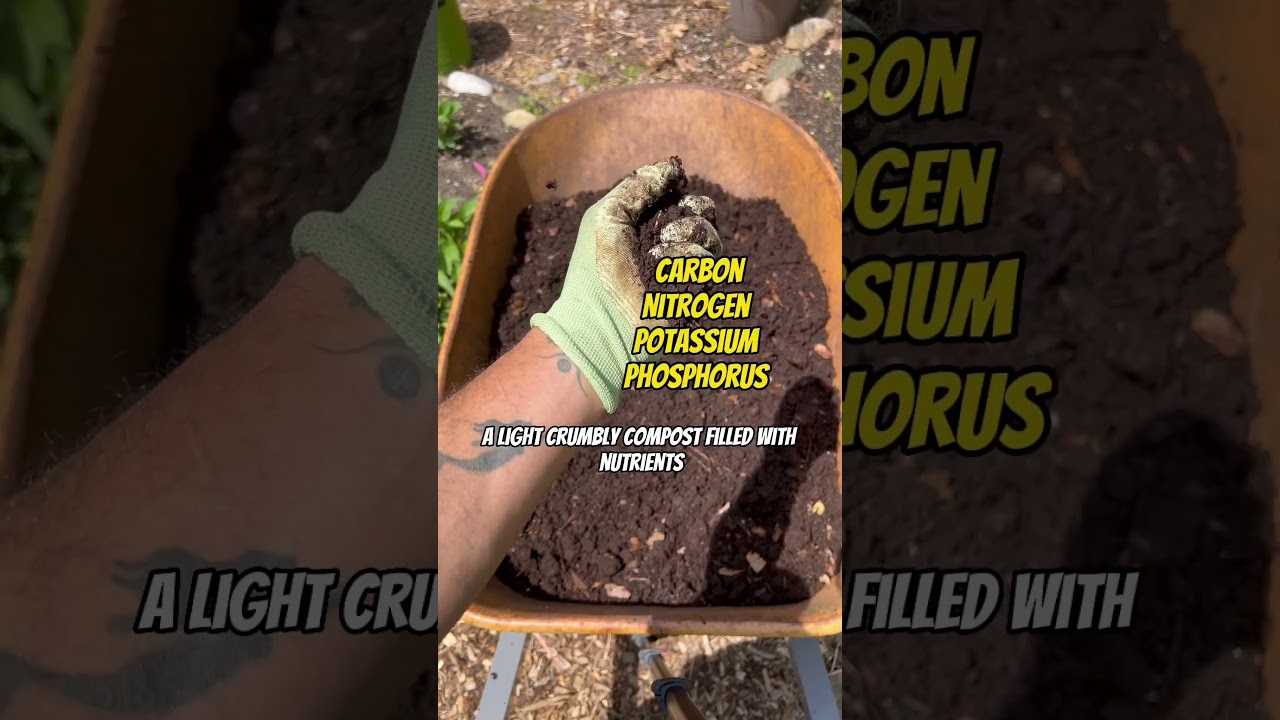 Ubah dedaunan menjadi kompos kebun yang SUPER BERMANFAAT! 🍂👨🏽‍🌾