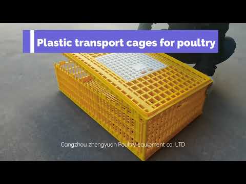 Chicken Transport Box - Poultry Carrier Crate Latest Price ...