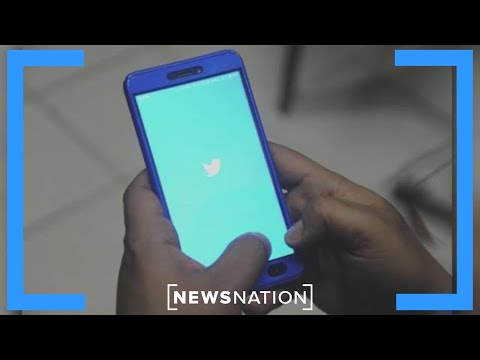 New allegations on debate over Trump Twitter ban | Morning in America