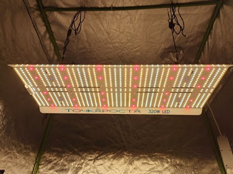 Samsung LM301H EVO OSRAM6.24 660nm&730nm Seoul UV 385nm Grow Light 320W Dimmable With Daisy Chain