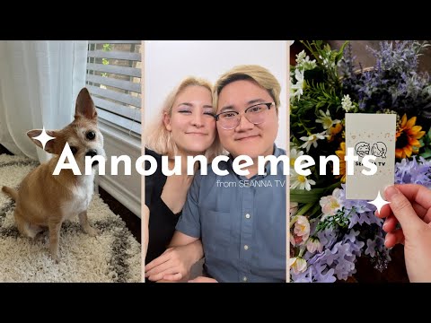 3 IMPORTANT CHANNEL UPDATES | Fandom name reveal, Travel plans, how you can support us