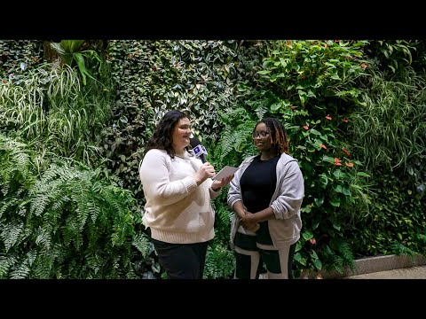NYU Scavenger Hunt: All the Places 2024 Grads Will Miss