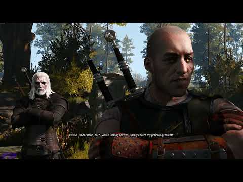 Steam Community :: Video :: Witcher 3: Wild Hunt - Geralt Meets Cat ...