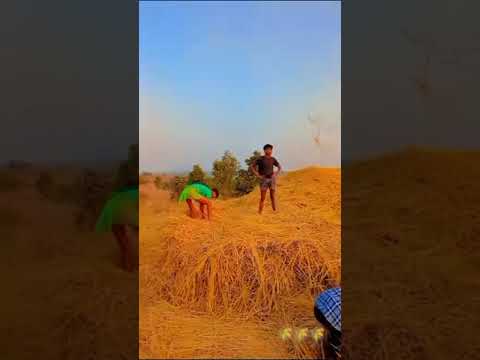 desi Chhora my YouTube channel bhai log🚩🚩🚩🔥🔥🔥😅