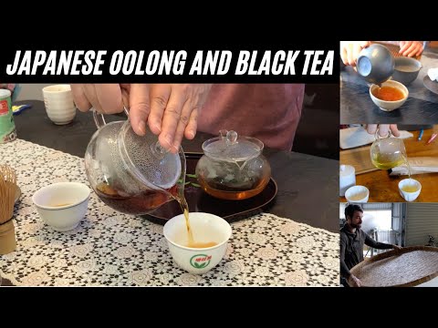 Exploring Japanese Black Tea and Japanese Oolong Tea