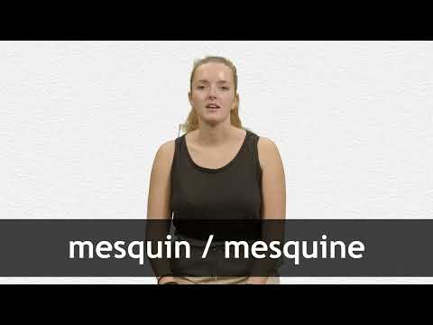 English Translation of “MESQUIN” | Collins French-English Dictionary