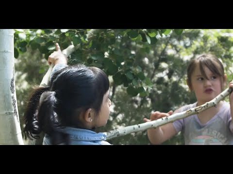 Adapting and Enhancing Curricula: Trees Are Alive!