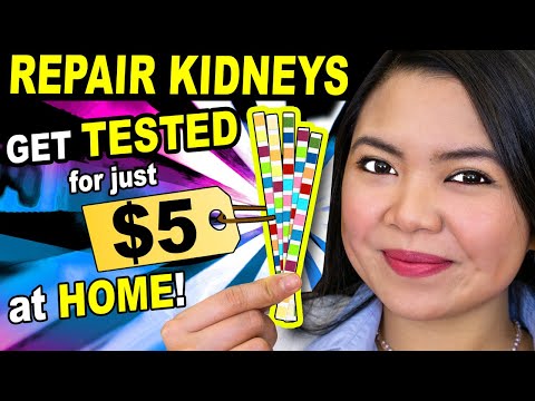 [Kidney Repair] How to Test For Kidney Disease Symptoms for 5$ #NoClickBait