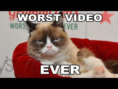 Grumpy Cat Memes