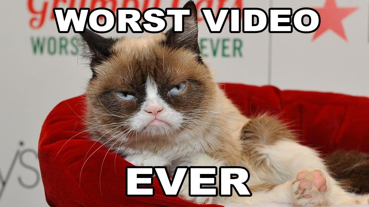 Grumpy Cat Memes