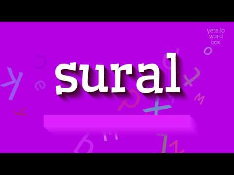 How to say "sural"! (High Quality Voices)