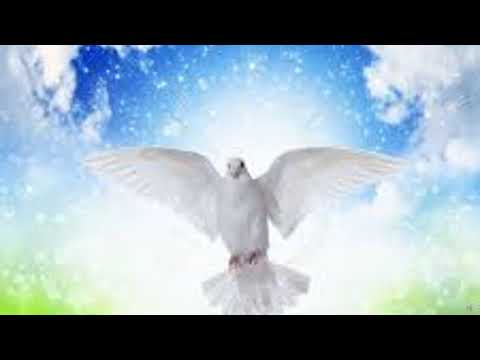 Voice of God - Meyuru