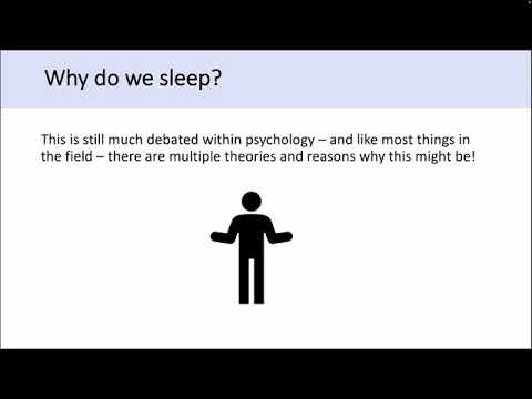 Sleep and Dreams - The Restoration Theory of Sleep