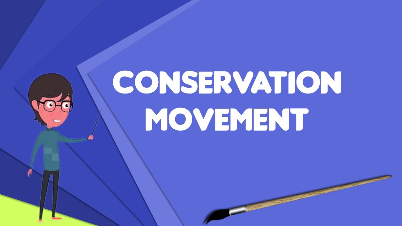 What is Conservation movement?, Explain Conservation movement, Define Conservation movement