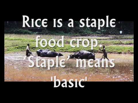 Intensive Peasant Farming.wmv