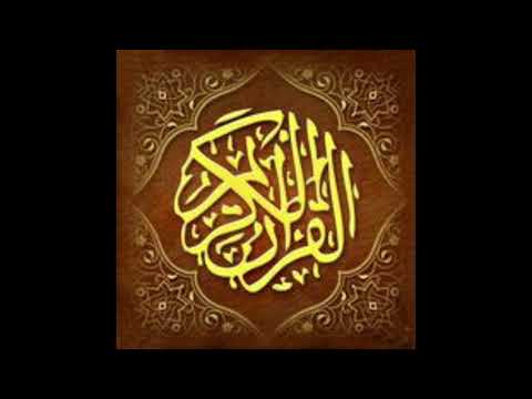 102   At Takathur   Mohammed Siddiq Al Minshawi Murattal [no echo]