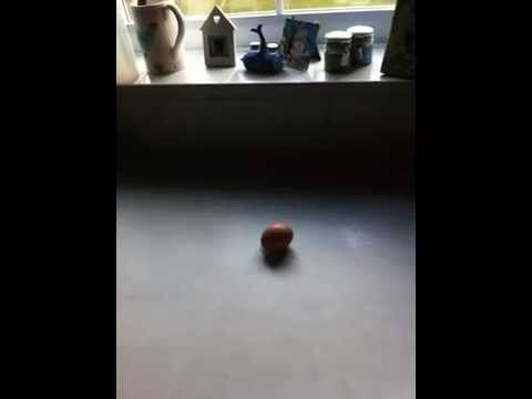 Steam Community :: Video :: swag swag swag swag swag