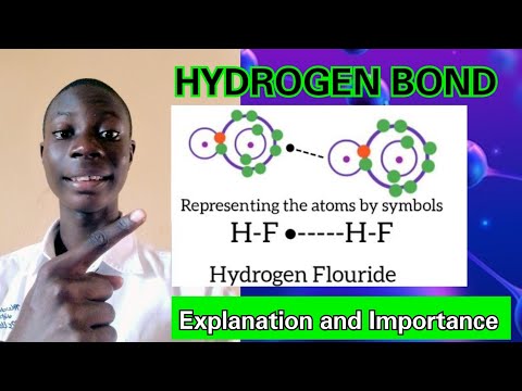 Hydrogen Bond: Definition, Structure and Function