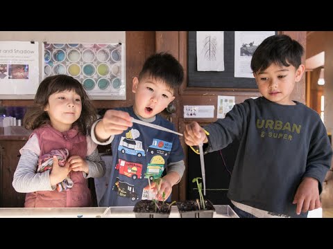 Explore the Rosenberg Early Childhood Center