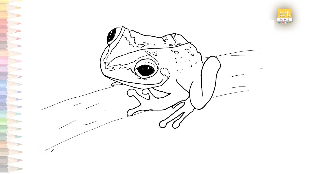 Coqui Frog drawing | Dibujo de rana coquí común | How to draw A Coqui Frog | easy drawing videos