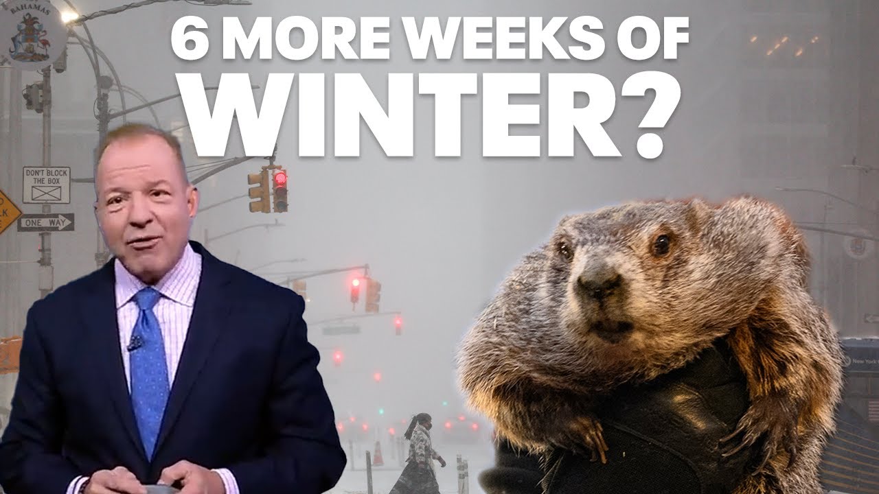 NYC mid-winter weather forecast: Was the groundhog's prediction correct?