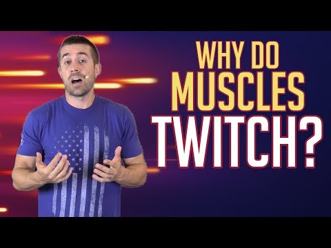 Why Do Muscles Twitch?