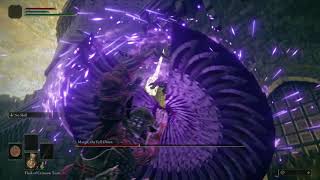 Loaded Umbrella VS Margit at Elden Ring Nexus - Mods and Community