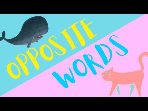 Opposite Words | Learning about opposites