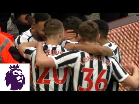 Fabian Schar's flick adds to Newcastle's lead over Cardiff City | Premier League | NBC Sports