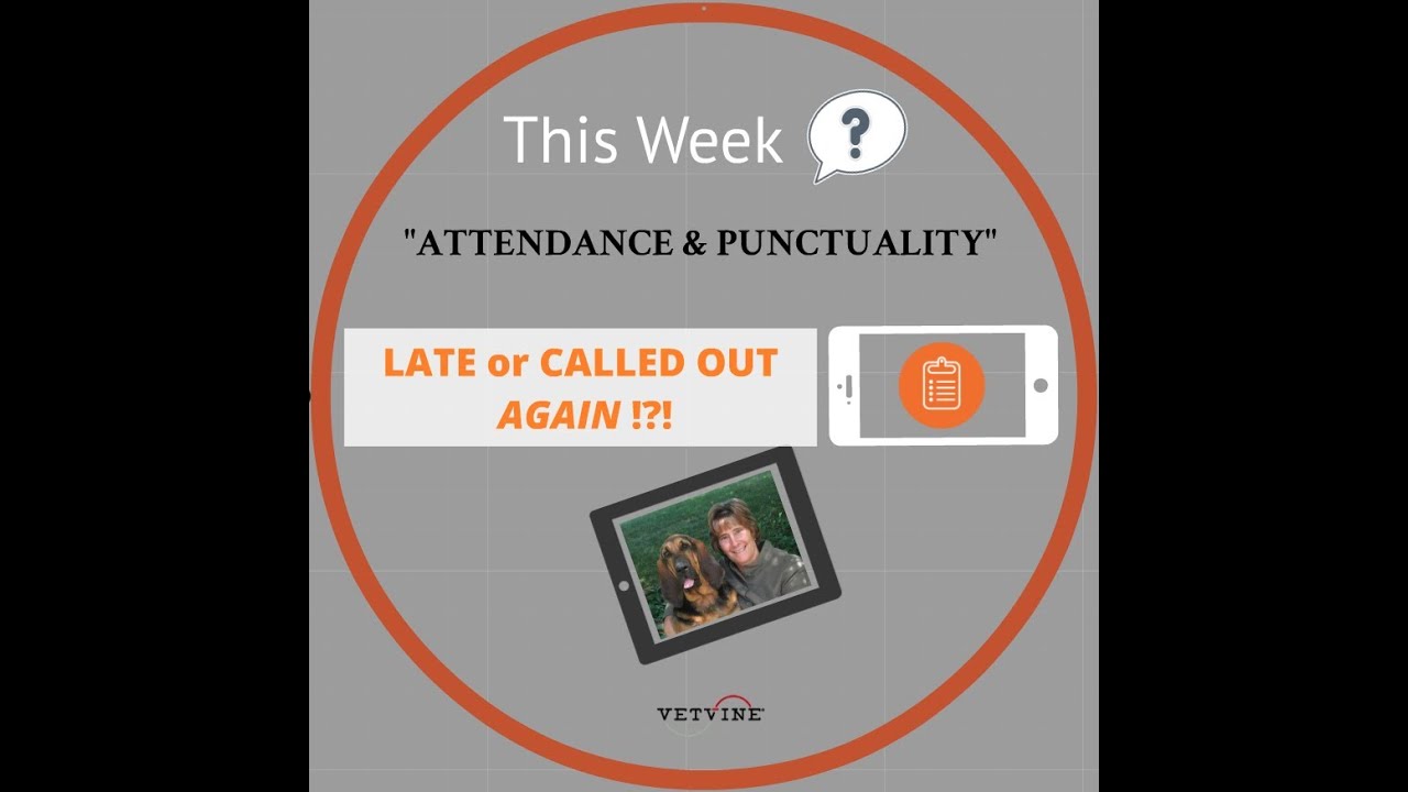 Employee Attendance and Punctuality
