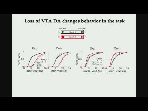 David Foster – Explorations in hippocampal replay