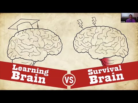 Support/Emotional Support in the Virtual Environment