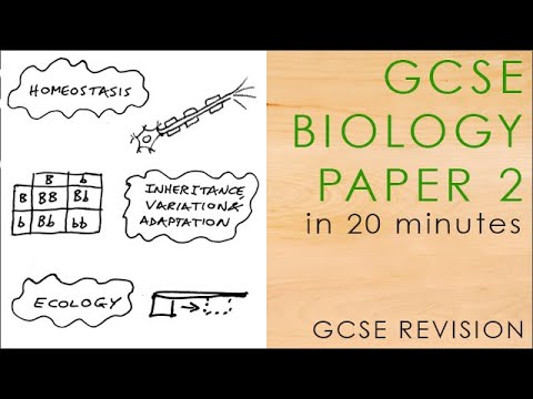 All of BIOLOGY PAPER 2 in 20 mins - GCSE Science Revision Mindmap 9-1 AQA