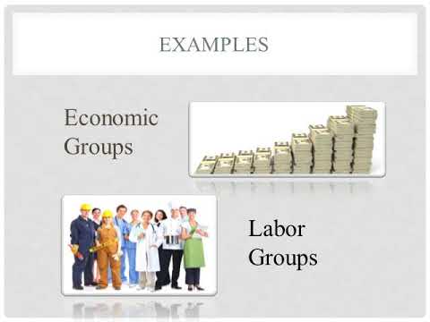 Pluralist Theory