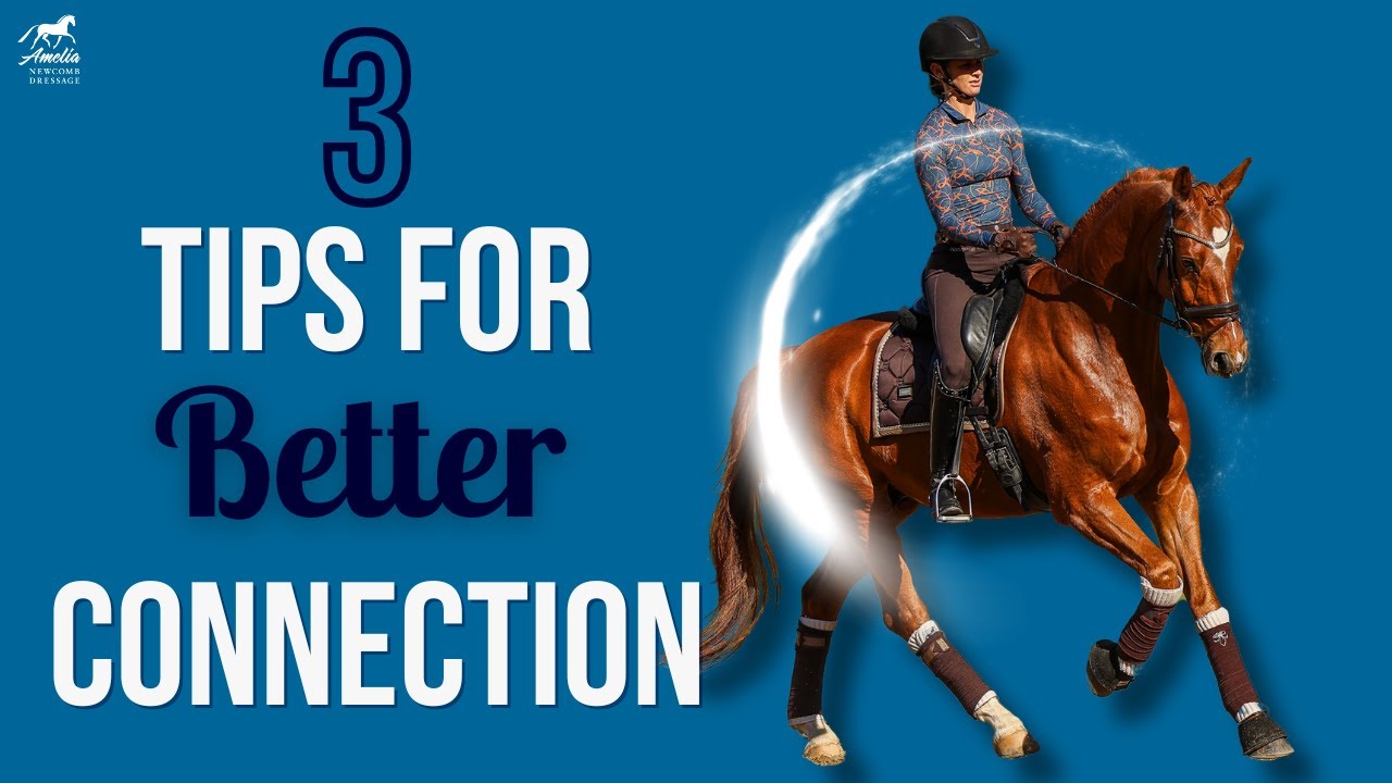 Develop Connection using the Training Scale