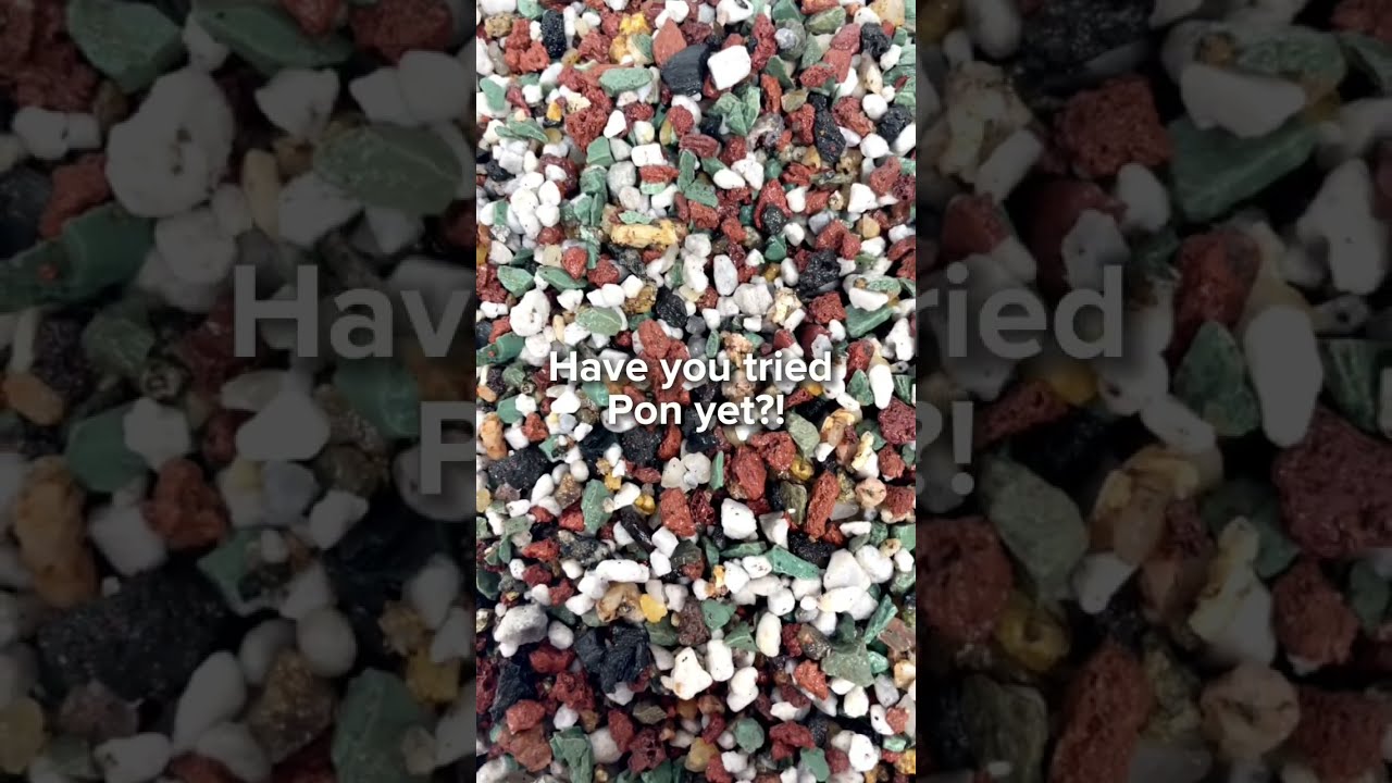 How To Make Pon - DIY PON FOR PLANTS - Semi Hydroponics