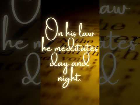 #Shorts Book of Psalms: Psalm1 | Visual Bible | The Blessings of Righteous | Meditating on the Word