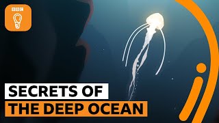 Học tiếng Anh qua Video The secrets of the deep ocean | BBC Ideas.