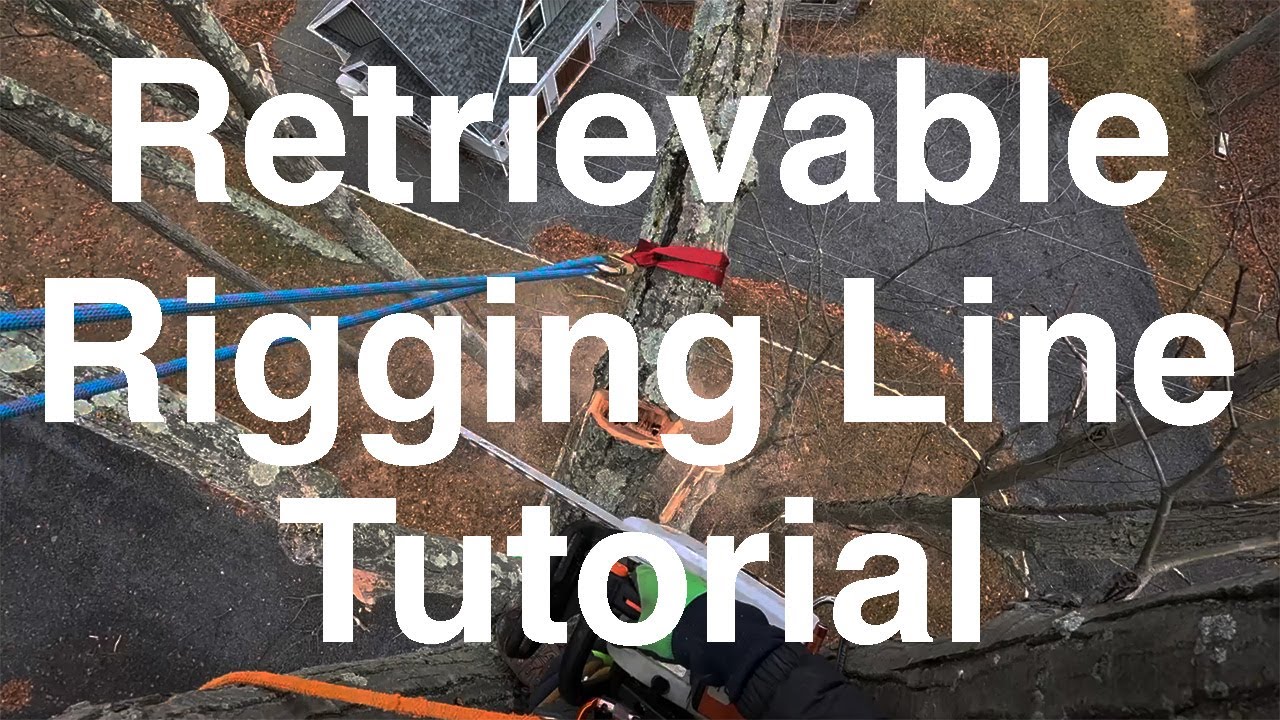 RIG IT DOWN DOWN! Retrievable Rigging Line for Tree Work
