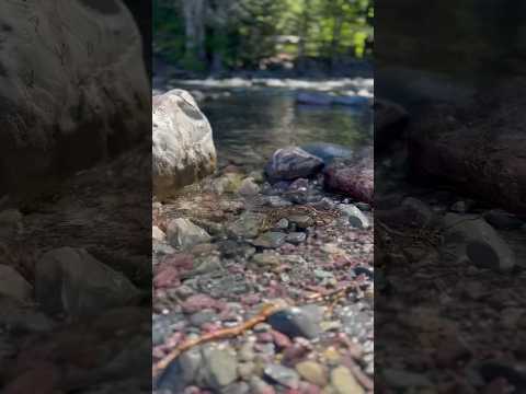 summer in Montana is so peaceful ✨ #montana #foryou #beautiful #summer #peaceful #glacier #406