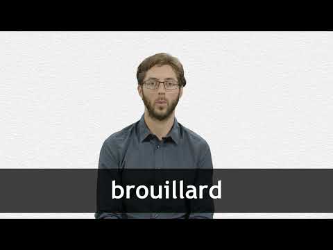 English Translation of “BROUILLARD” | Collins French-English Dictionary