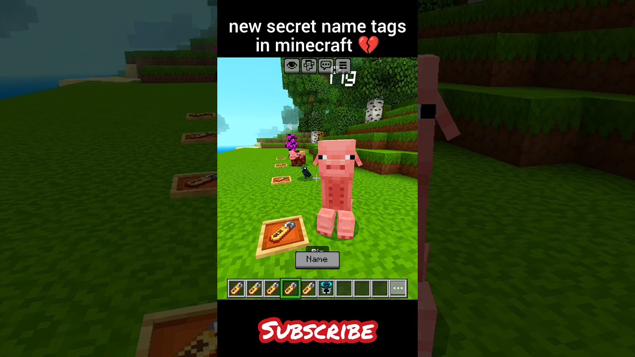 Minecraft Secret Name Tags Moment #minecraft #shorts