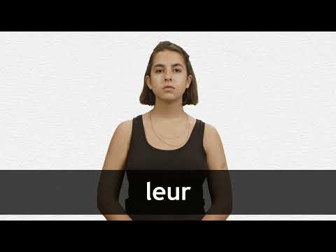 English Translation of “LEUR” | Collins French-English Dictionary