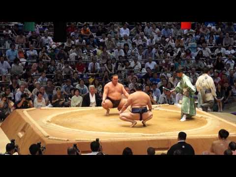 Sumo Videos