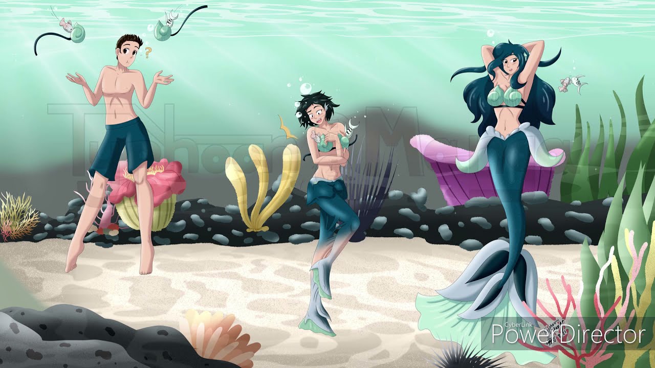 Fish tfs #1