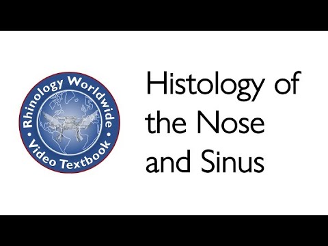 Histology of the Nose and Sinuses - Dr. Pete Batra