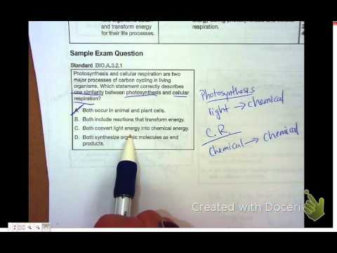 keystone practice question answered photosynthesis and cellular respiration