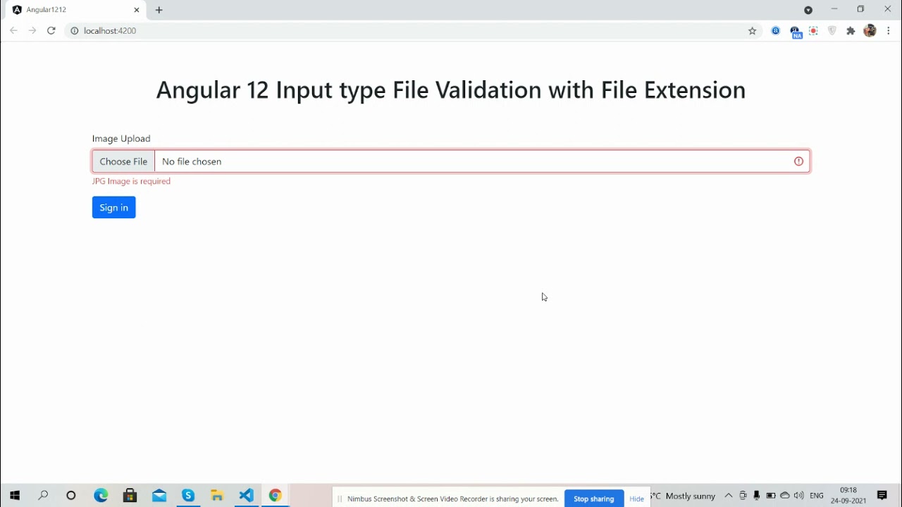 Angular 12 Input type File Validation with File Extension