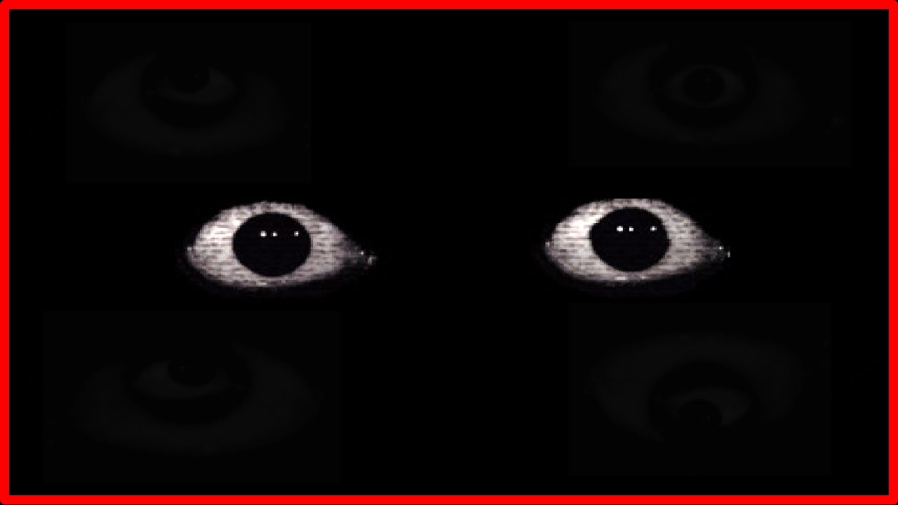 Disturbing things Within | Her Nightmares